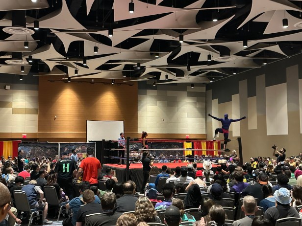 Phoenix Fan Fusion 2025 Wrap Up + 2026 Dates – Legion of Sand